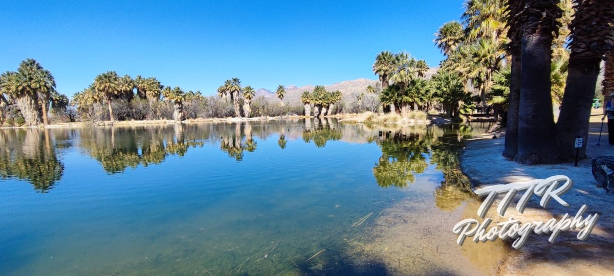Agua Caliente, Tucson, Arizona - An Oasis in the Desert