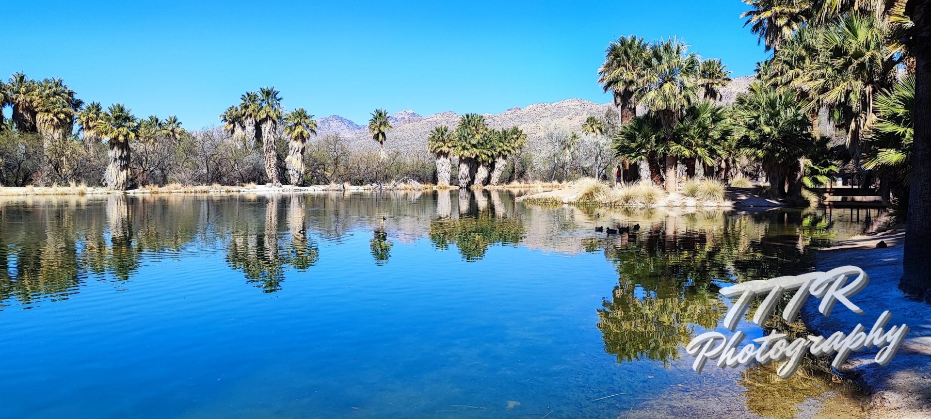 Agua Caliente, Tucson, Arizona - An Oasis in the Desert