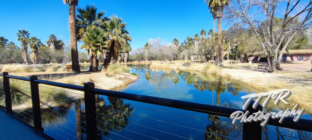 Agua Caliente, Tucson, Arizona - An Oasis in the Desert