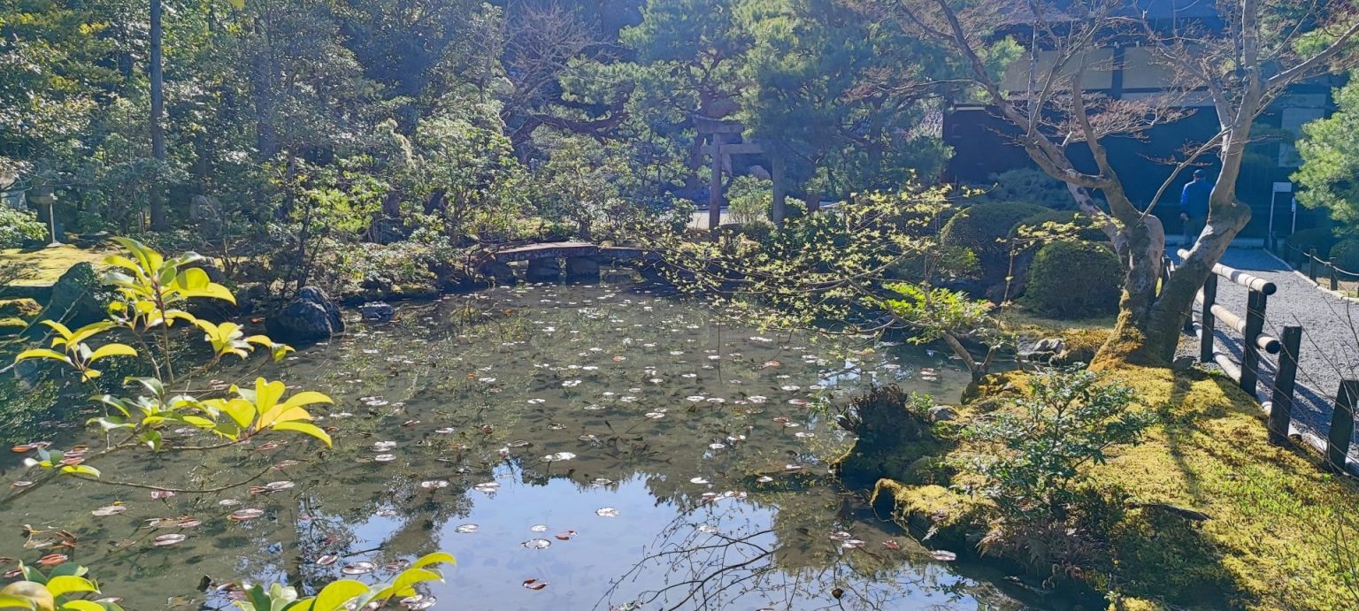 Konchi-in: Unveiling the Beauty of Kyoto's Serene Zen Temple and Gardens