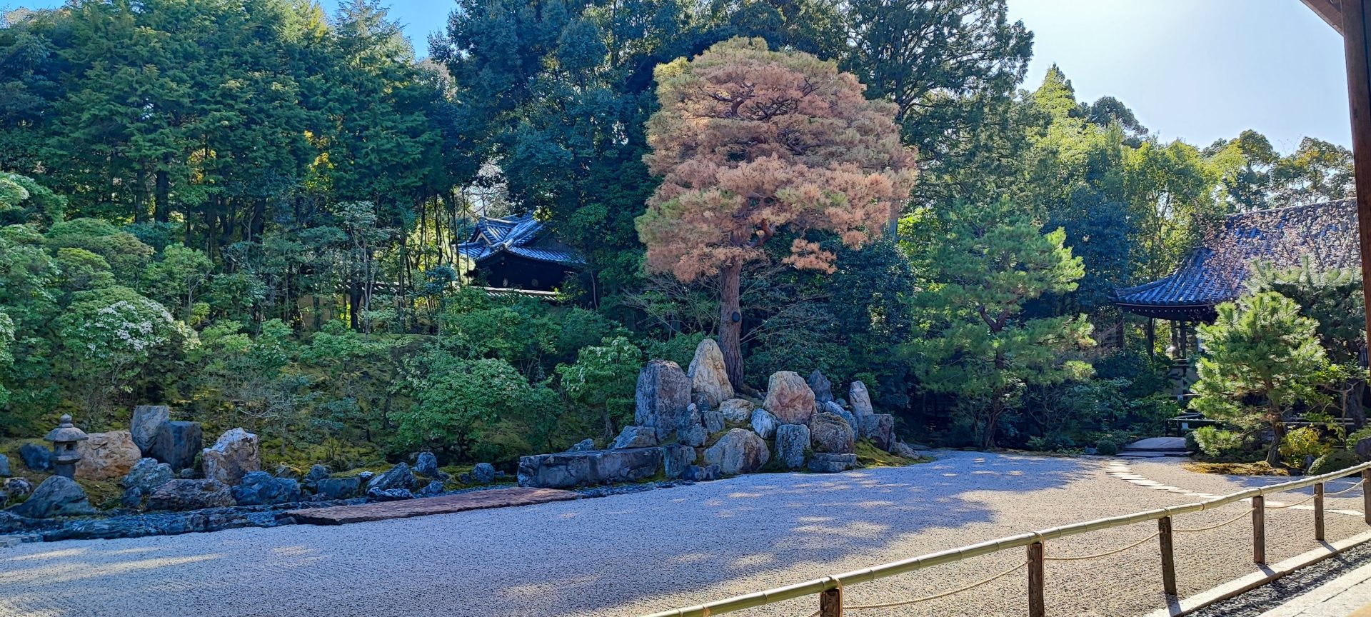 Konchi-in: Unveiling the Beauty of Kyoto's Serene Zen Temple and Gardens