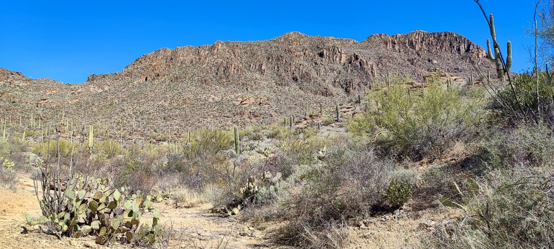 Gates Pass: Where Desert Drama Unfolds in Tucson - Teach Translate ...