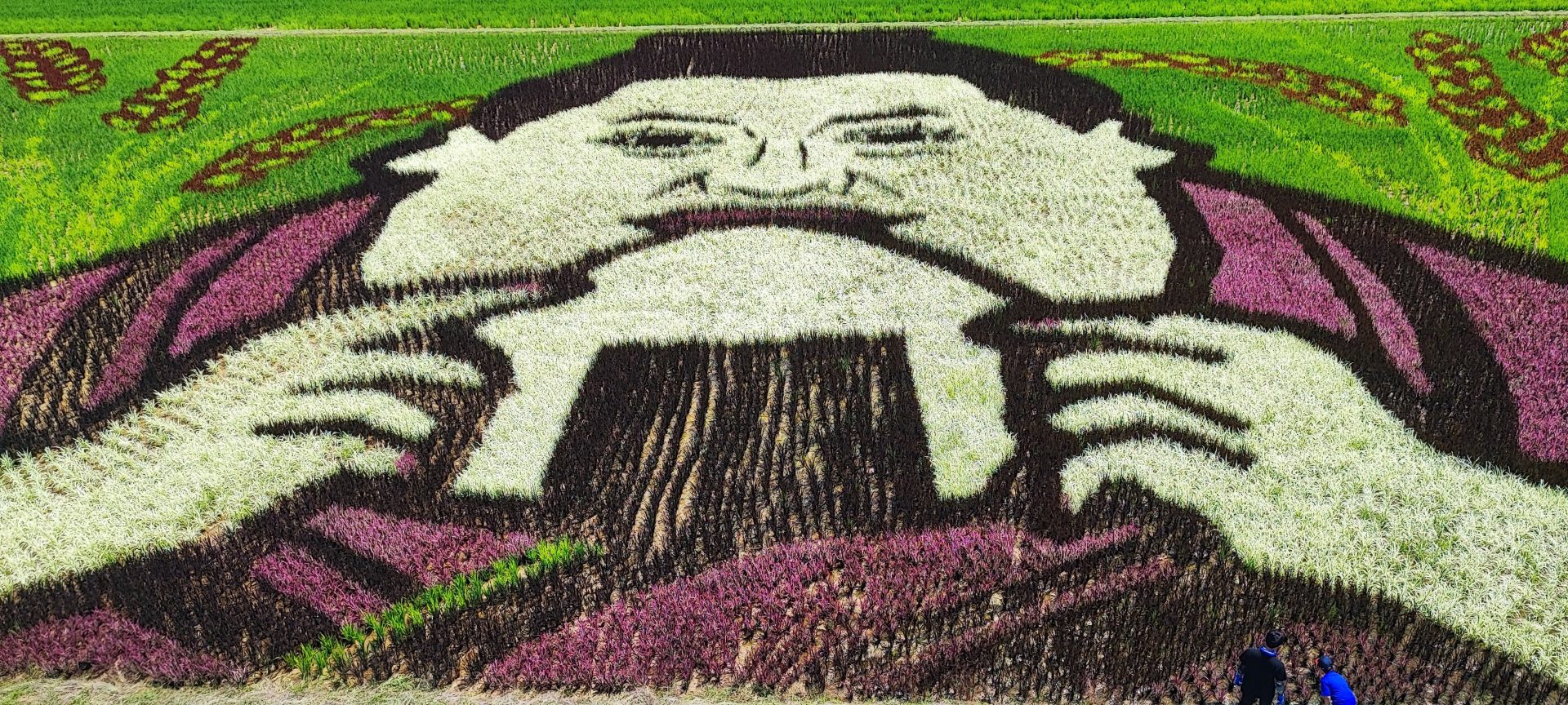 Tanbo Art Rice Field in Asahikawa, Japan - Teach Translate Travel Repeat