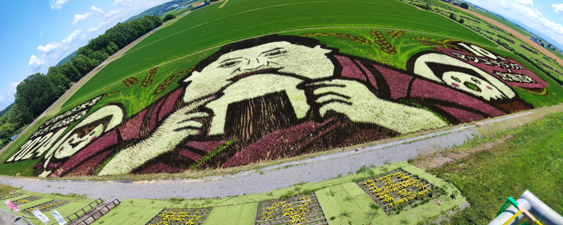 Tanbo Art Rice Field in Asahikawa, Japan - Teach Translate Travel Repeat